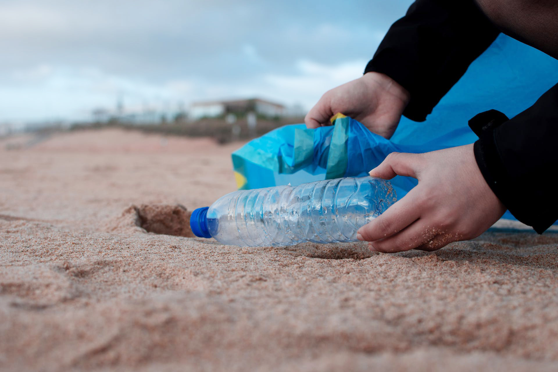 Empowering UAE Schools for Sustainability: Our List of Organizations for Ongoing Eco-Friendly ...